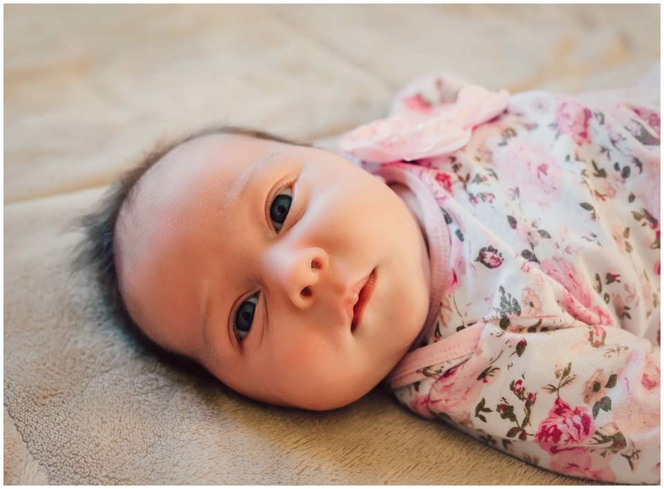 Baby Xenia | Skagit County Newborn Photography | Lifestyle Session ...